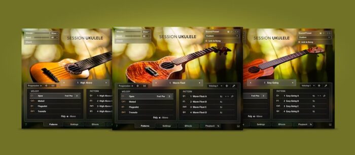 ウクレレのバーチャル音源、Native Instruments「Session Ukulele」リリース！ | Computer Music ...