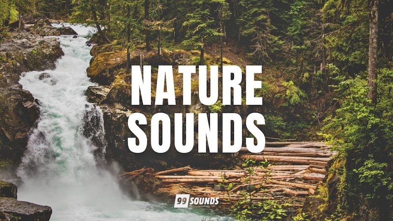 [B! 素材] 【無料】台湾で収録された自然環境音ライブラリ、99Sounds「Nature Sounds」無償配布開始 ...